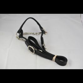 EastGen Online Store - YEARLING SHOW HALTER